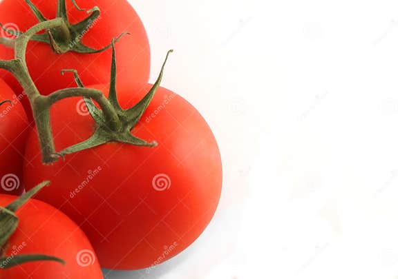 Tomate rojo foto de archivo. Imagen de dieta, salud, frontera - 2906736