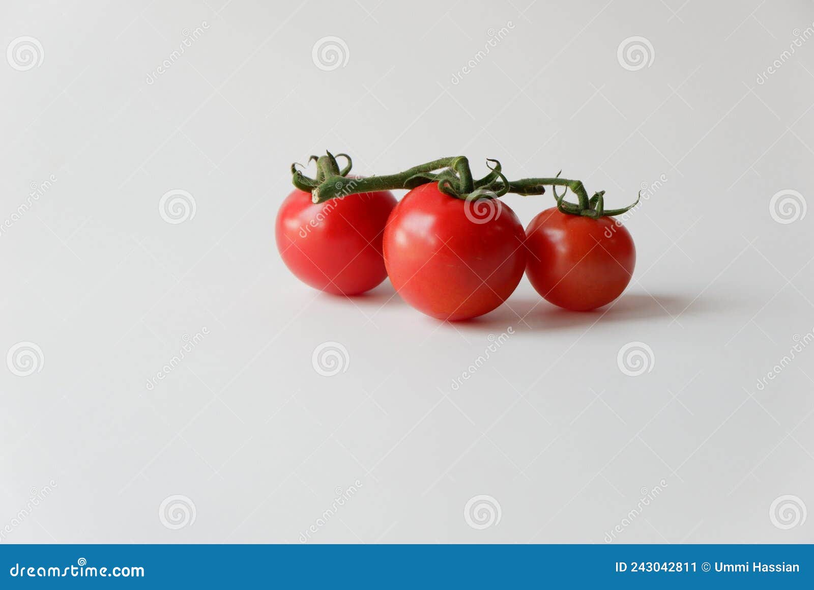 Tomate rojo imagen de archivo. Imagen de jugoso, brillante - 243042811