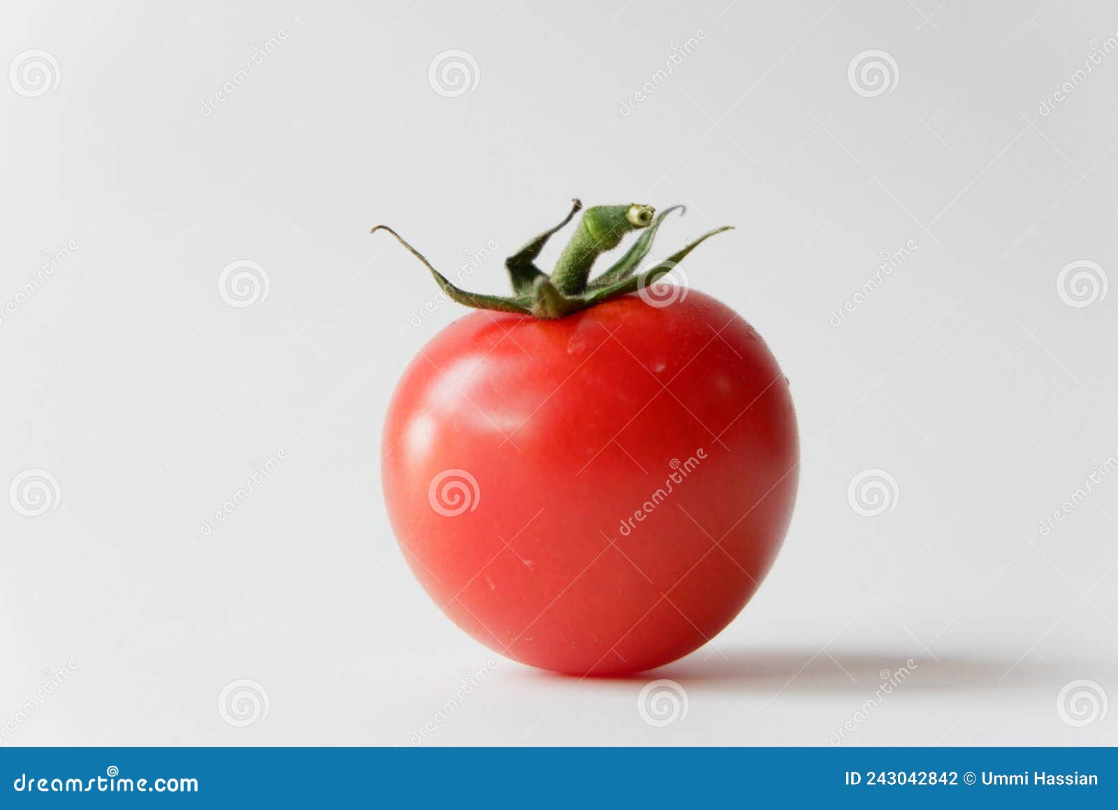 Tomate rojo foto de archivo. Imagen de dieta, fondo - 243042842