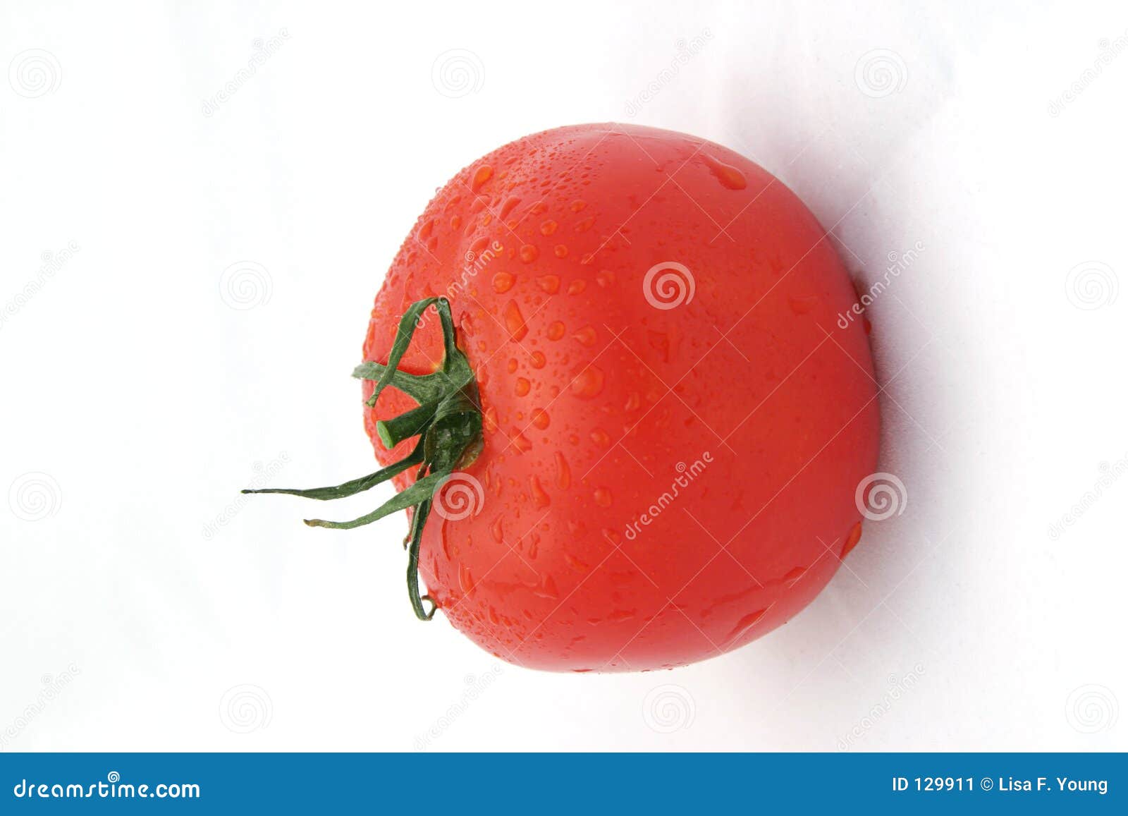 Tomate Rojo Jugoso En Blanco Imagen de archivo - Imagen de sano, niebla ...