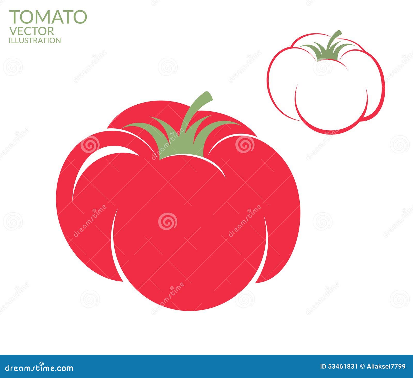 Tomate Vector ilustración del vector. Ilustración de rosa - 53461831