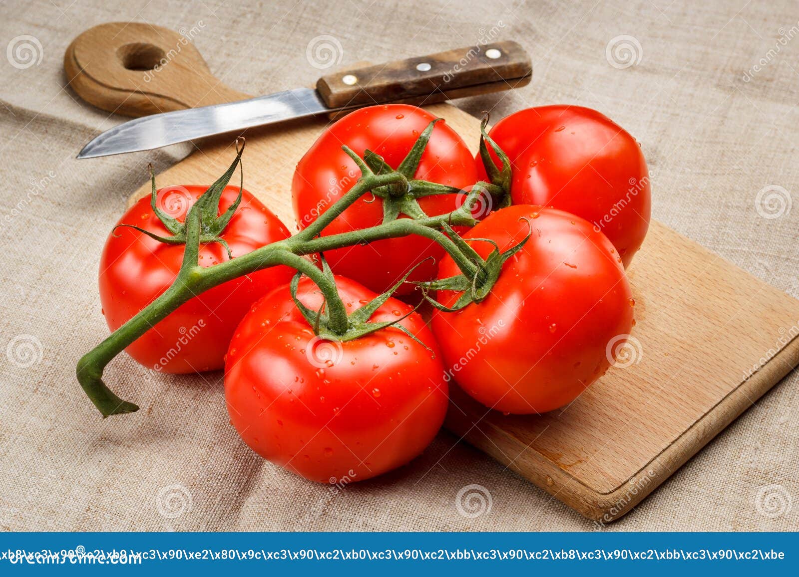 Tomate vermelho suculento imagem de stock. Imagem de tomates - 183313881 Tomate vermelho suculento imagem de stock. Imagem de tomates - 183313881