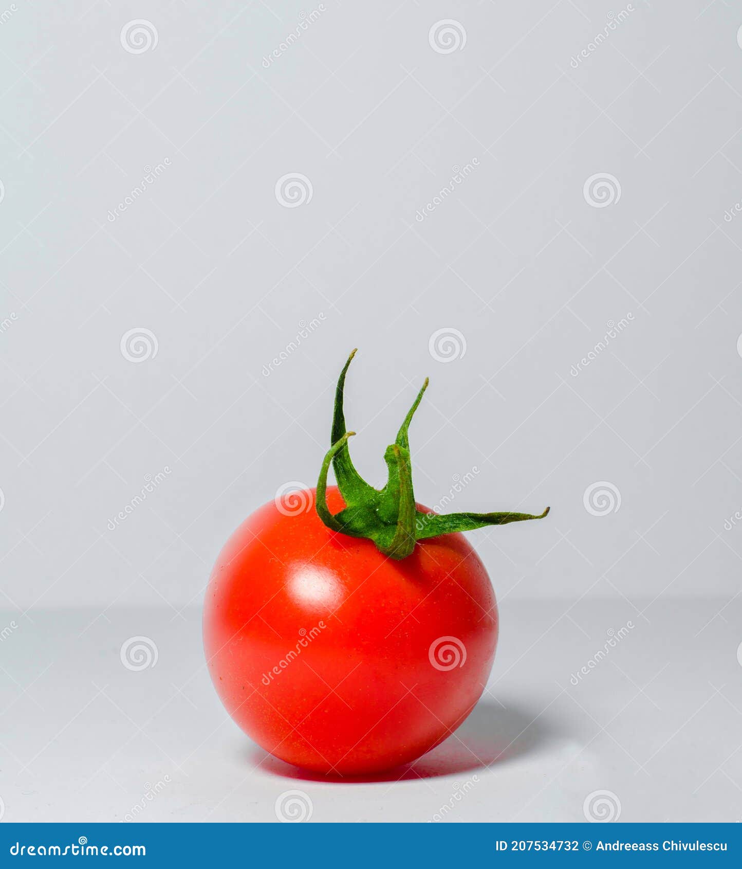 Tomatee stock photo. Image of petal, tomato, citrus - 207534732