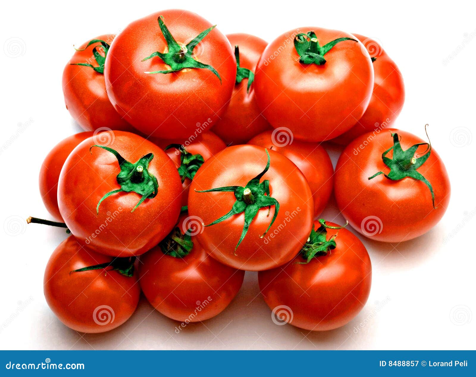 Tomater fotografering för bildbyråer. Bild av grönsaker - 8488857