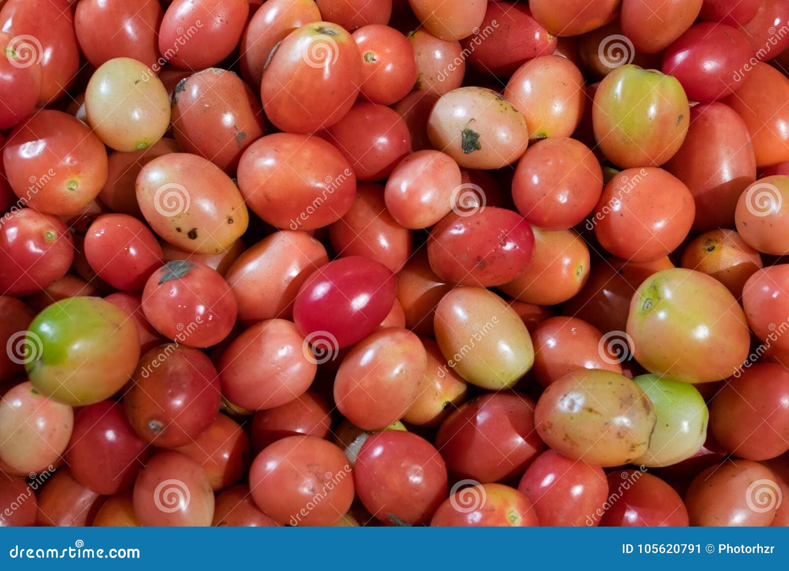 Tomater i lagret fotografering för bildbyråer. Bild av marknadsplats ...