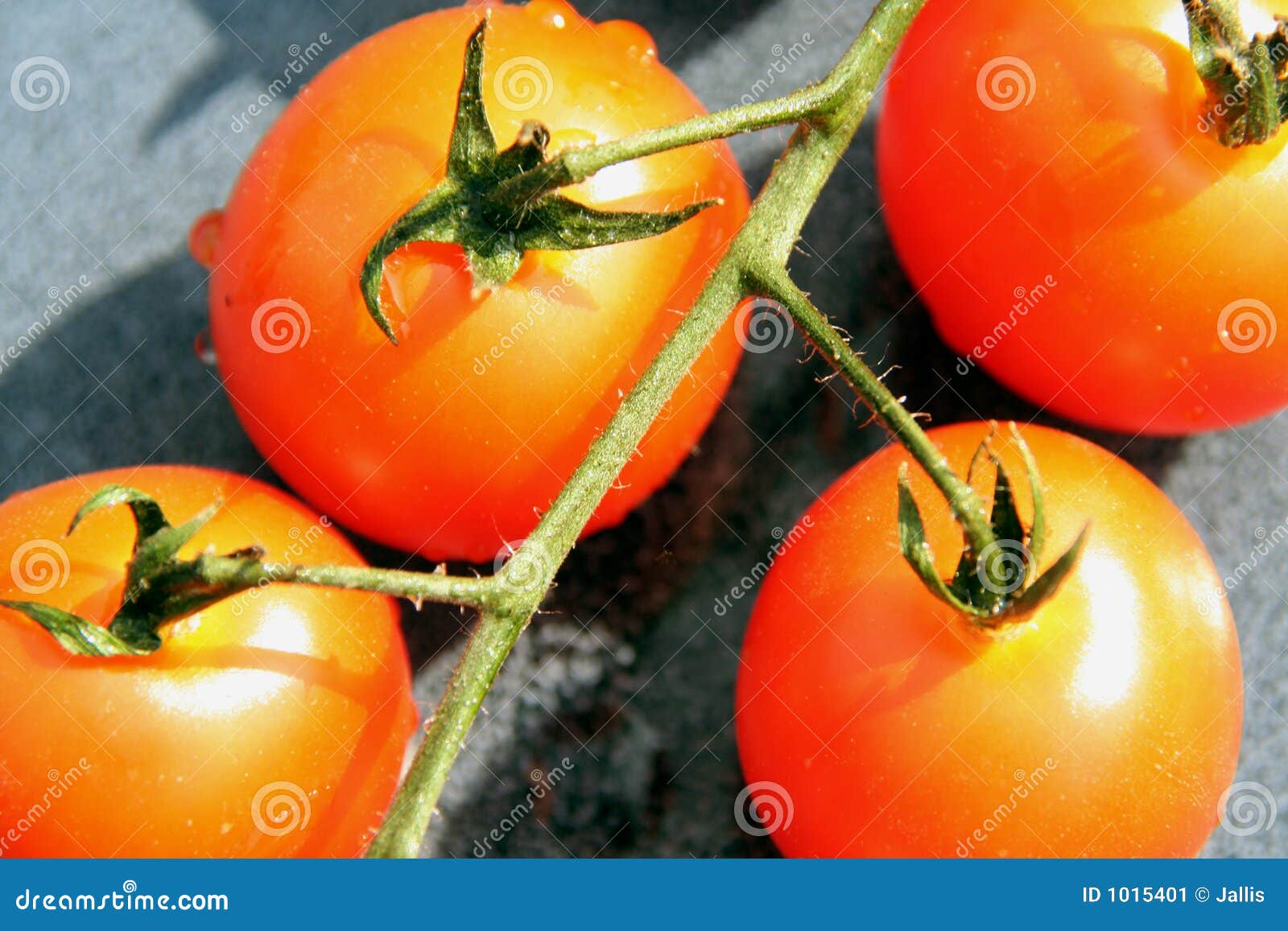 Tomates cuatro imagen de archivo. Imagen de verano, planta - 1015401