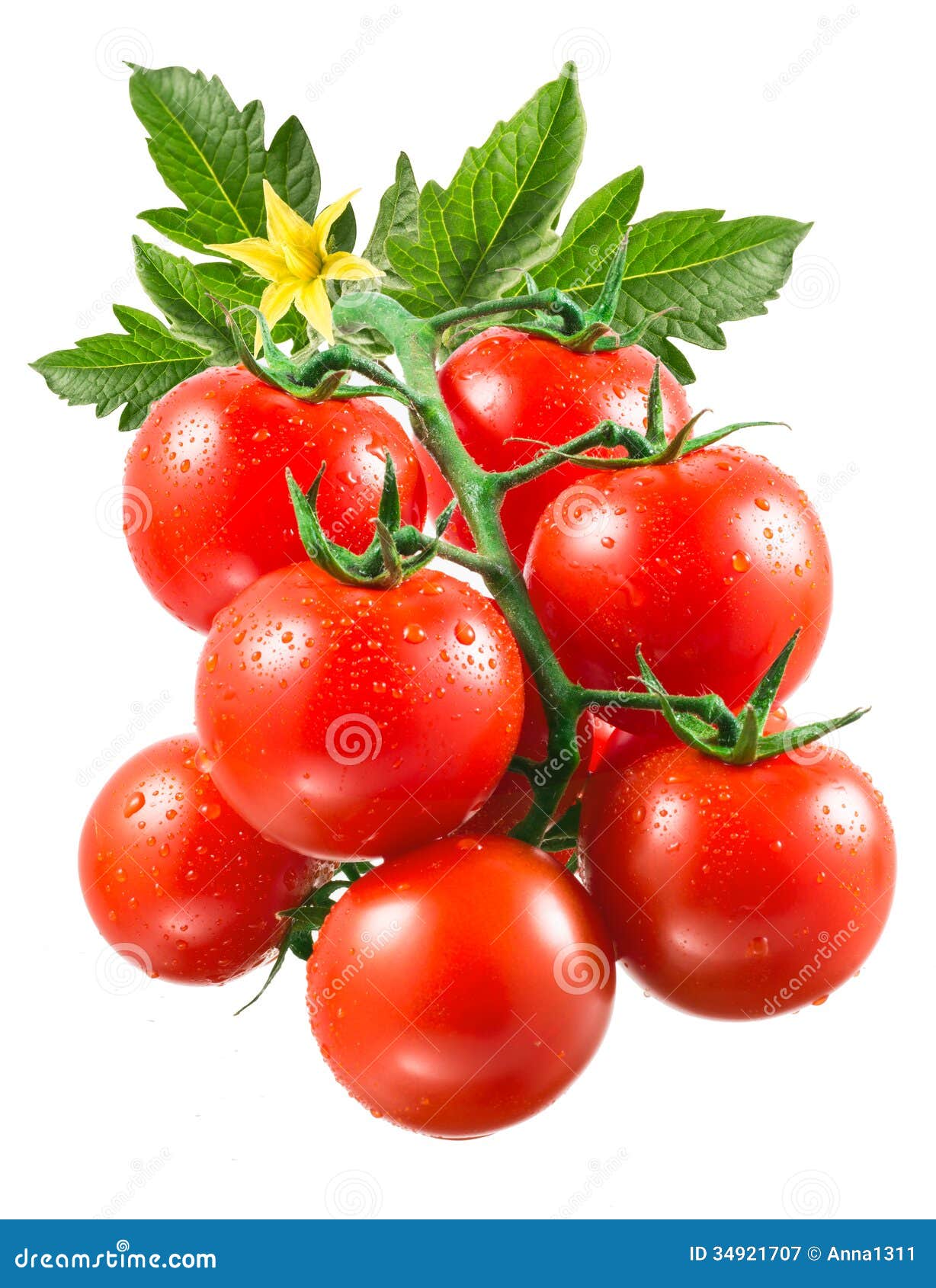 Tomates De Cereja Com Gotas No Ramo. Imagem de Stock - Imagem de gota ...