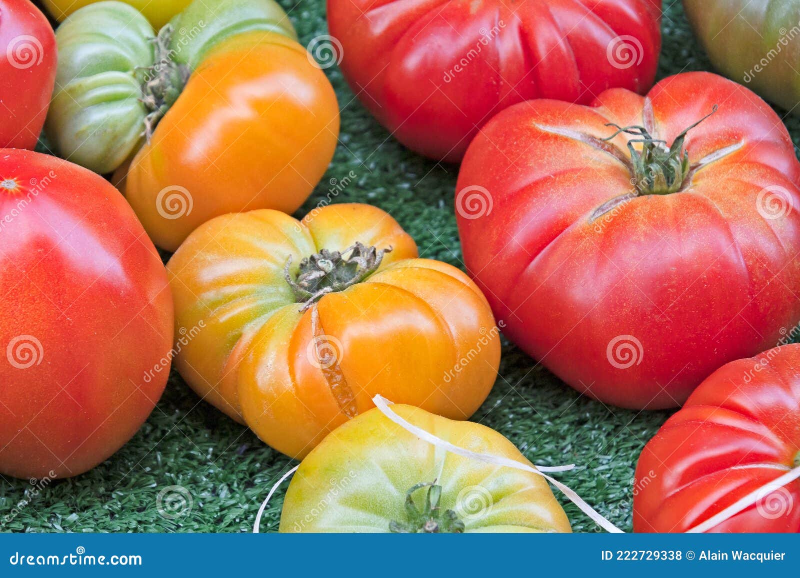 Tomates De Diferentes Colores Foto de archivo - Imagen de grande ...
