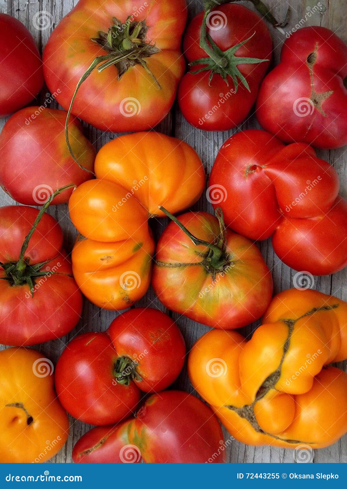 Tomates De Diversos Variedades Y Colores Imagen de archivo - Imagen de ...