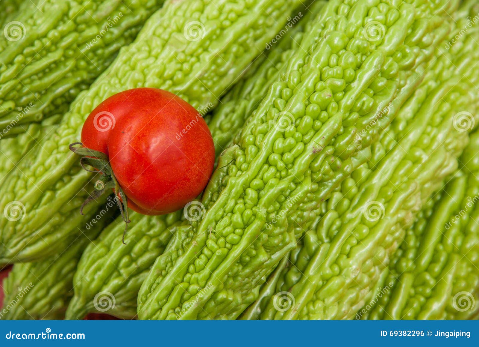 Tomates E Alimento Amargo Das Frutas E Legumes ---- Foto de Stock ...