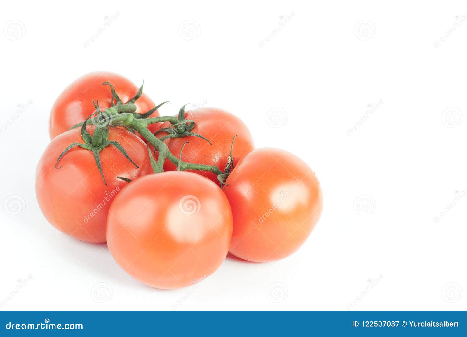 Tomates Em Um Ramo Fundo Branco Isolado Imagem de Stock - Imagem de ...