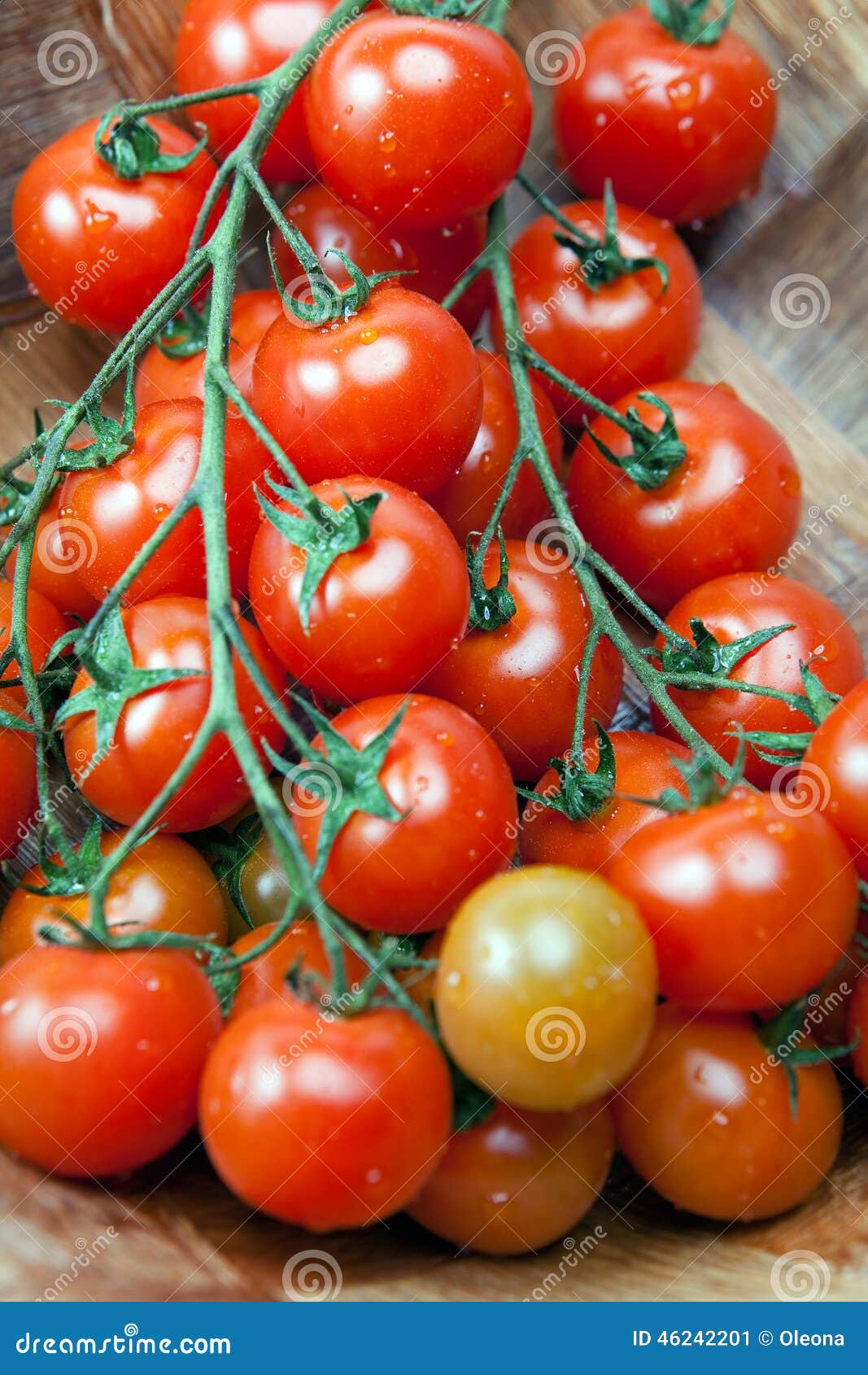 Tomates Em Um Ramo Na Bacia De Madeira Imagem de Stock - Imagem de ...