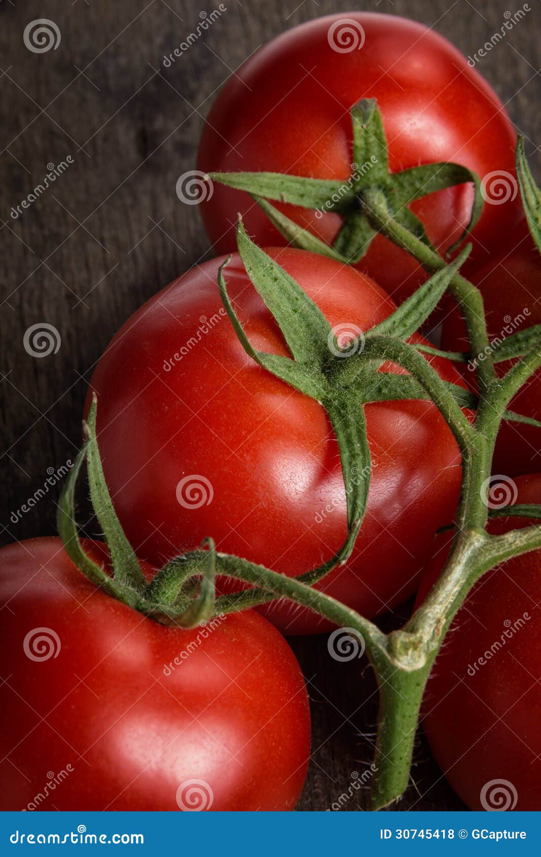 Tomates Em Um Ramo Na Tabela De Madeira Foto de Stock - Imagem de ...