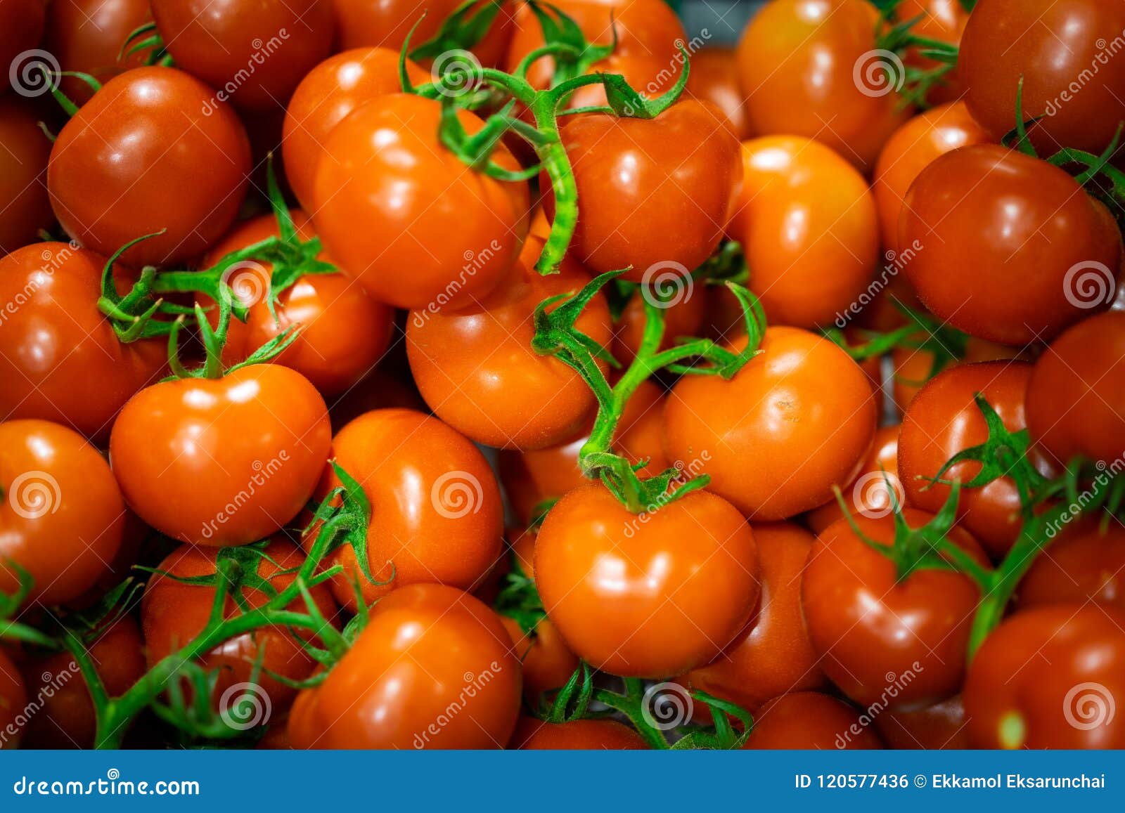 Tomates en el supermercado foto de archivo. Imagen de colorido - 120577436