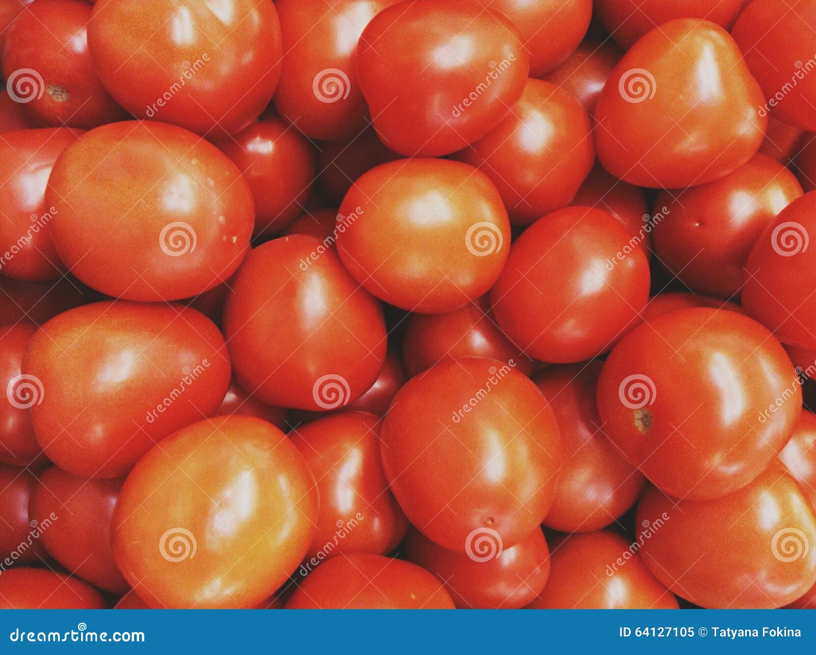 Tomates rojos imagen de archivo. Imagen de cosecha, alimento - 64127105