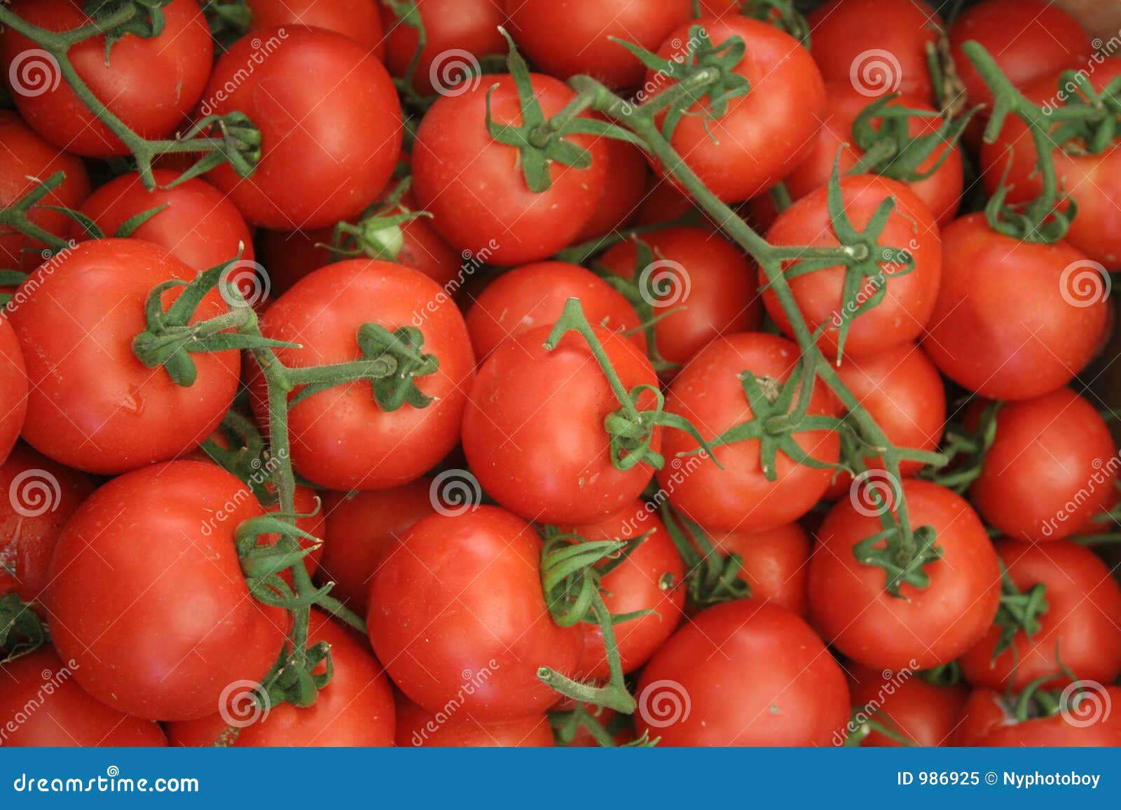 Tomates romaines image stock. Image du entier, fleurs, mince - 986925