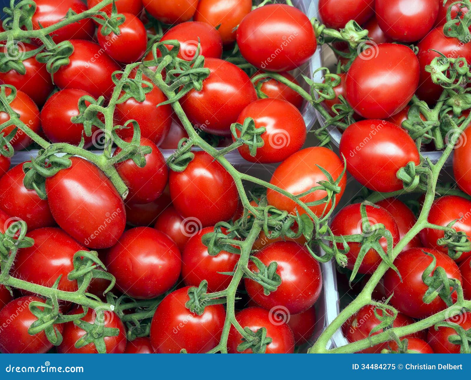 Tomates rouges image stock. Image du personne, organique - 34484275