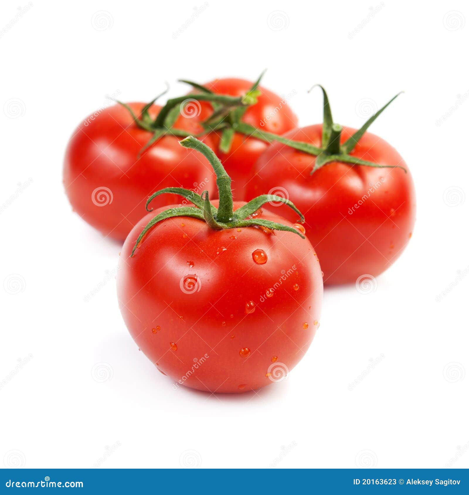 Tomates Rouges Sur Le Branchement Vert Image stock - Image du réflexion ...