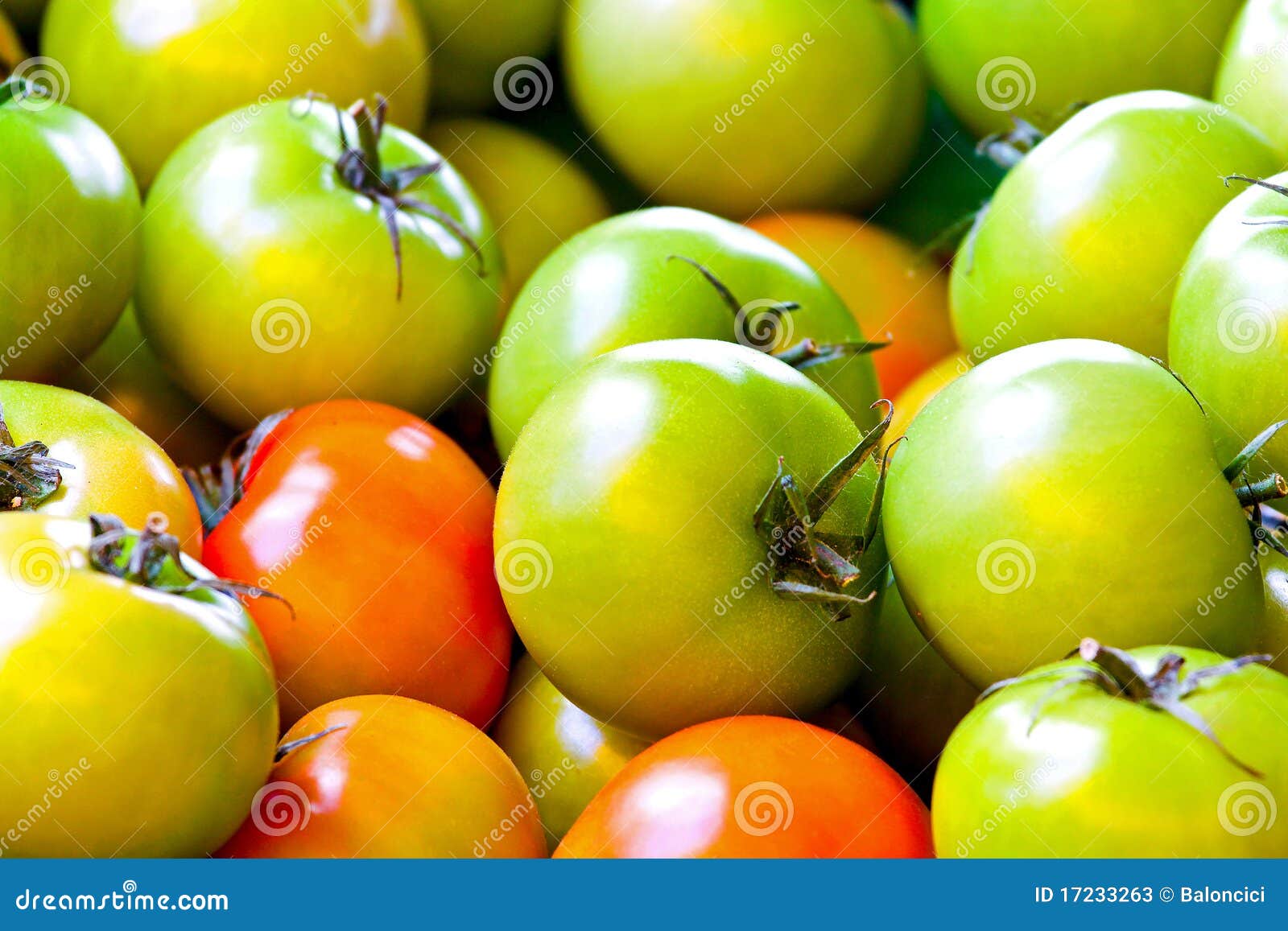 Tomates verdes imagen de archivo. Imagen de fresco, travieso - 17233263