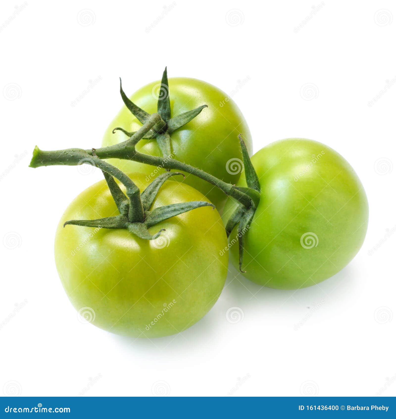 Tomates verdes foto de archivo. Imagen de tomates, dieta - 161436400