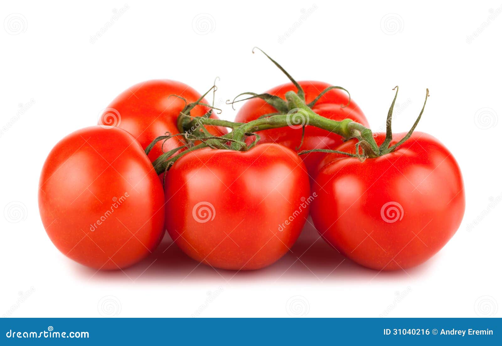 Tomates Vermelhos Maduros No Ramo Foto de Stock - Imagem de nave ...