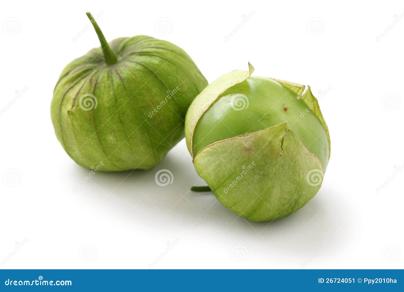 Tomatillo stock image. Image of food, physalis, shell - 26724051