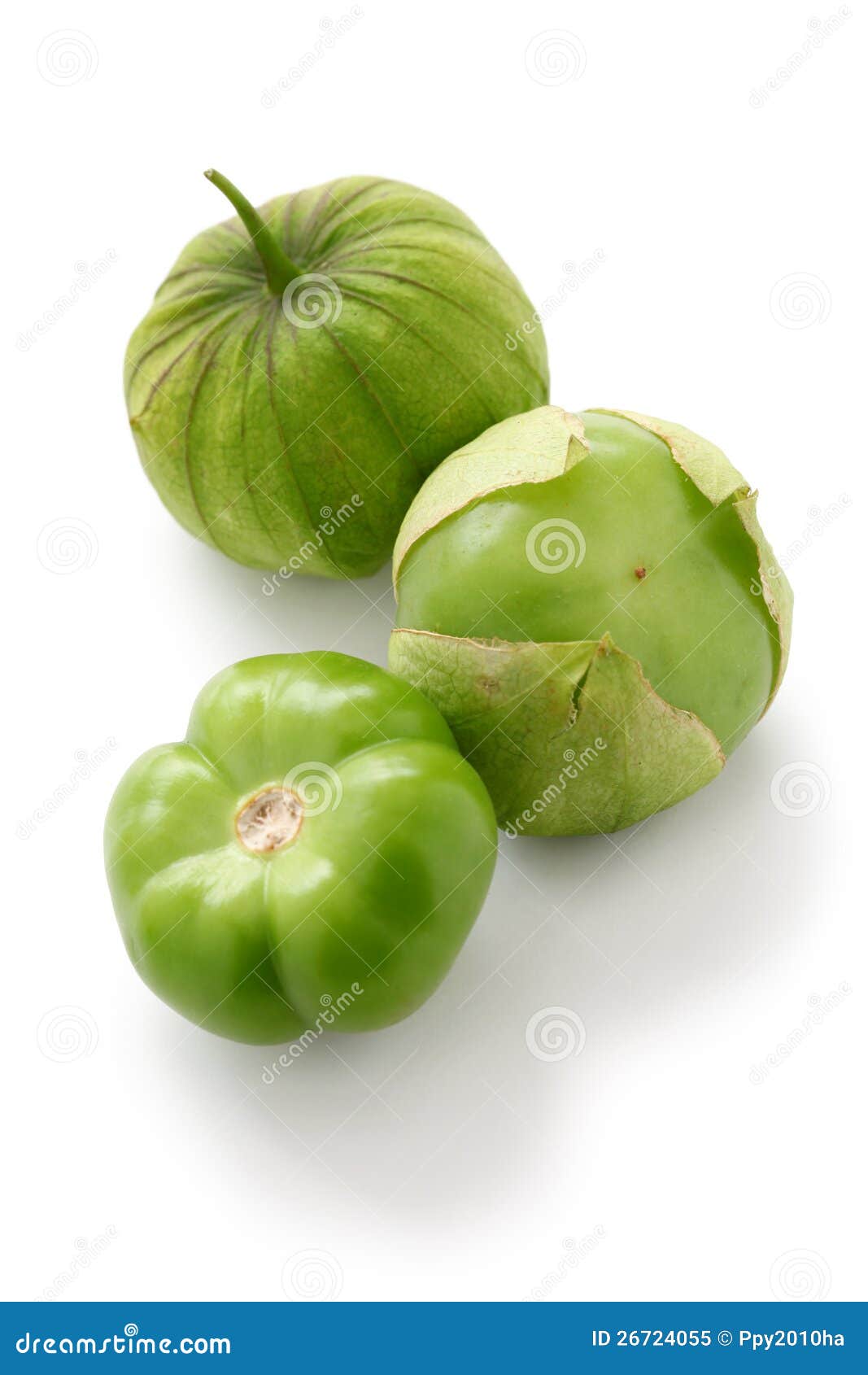 Tomatillo stock image. Image of salsa, tomatillo, ripe - 26724055