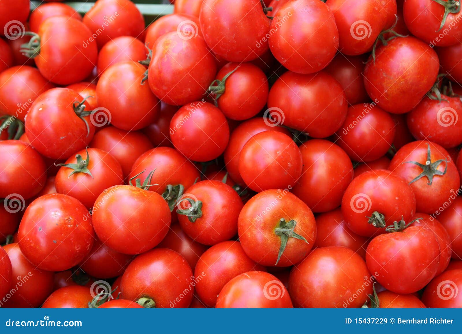Tomato stock image. Image of food, ingredient, dieting - 15437229