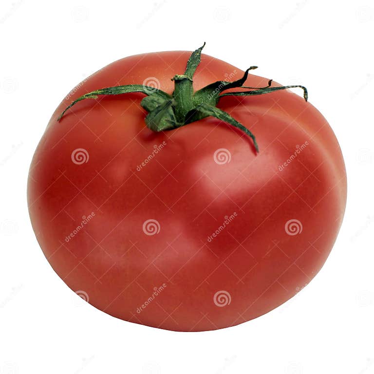 Tomato stock photo. Image of cooking, fruit, flavor, dinner - 155650
