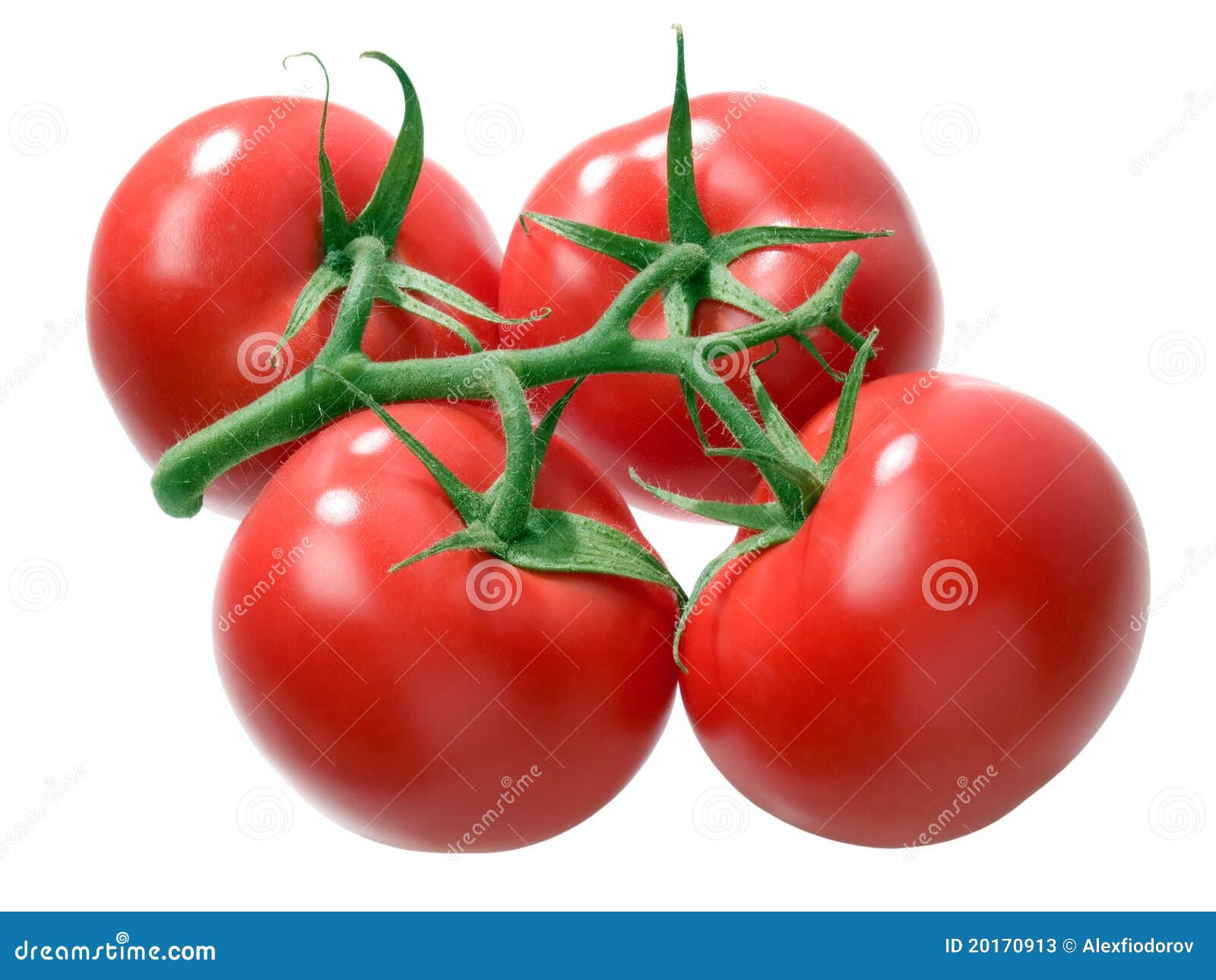 Tomato. stock image. Image of agriculture, nature, freshness - 20170913