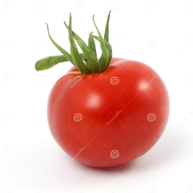 Tomato stock image. Image of vegetable, food, stem, nutritional - 2350415