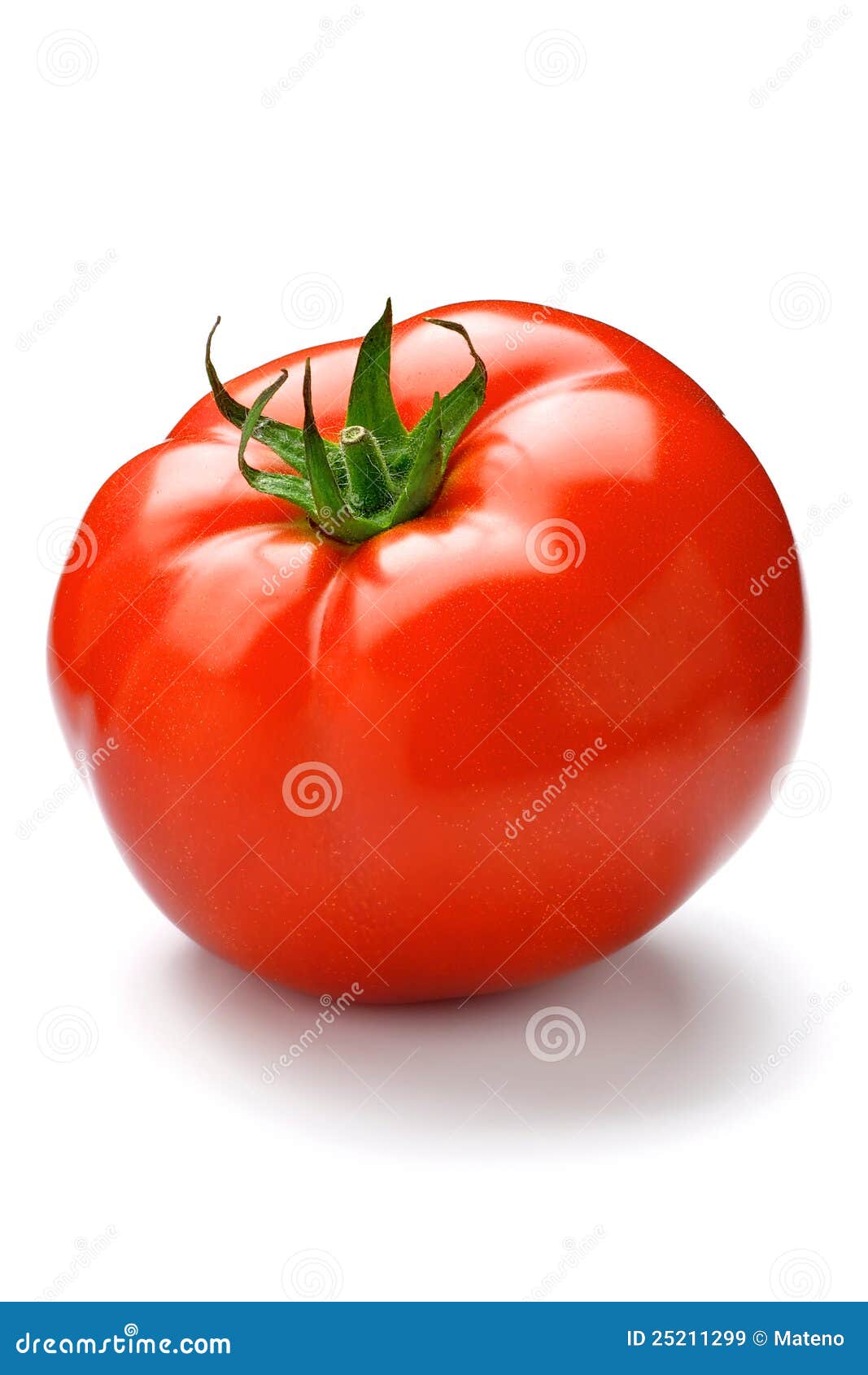 Tomato stock image. Image of green, vegetable, isolated - 25211299