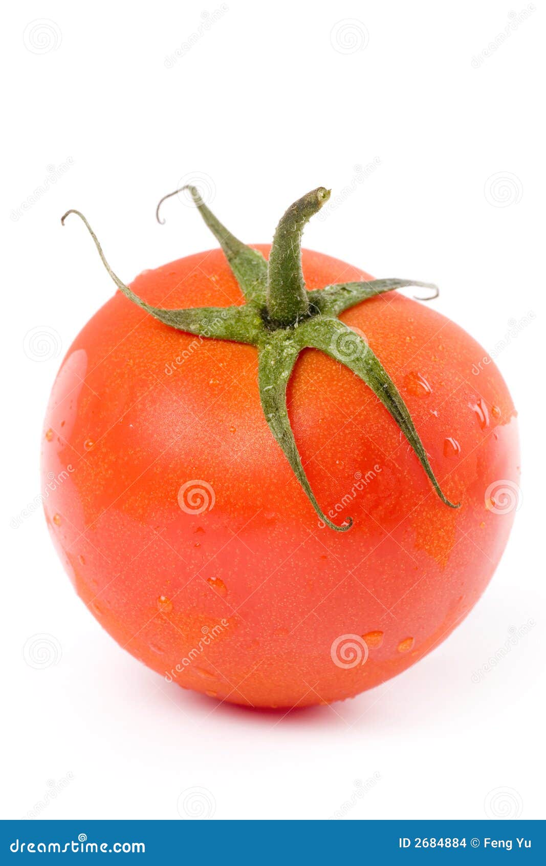 Tomato stock photo. Image of organic, freshness, ripe - 2684884