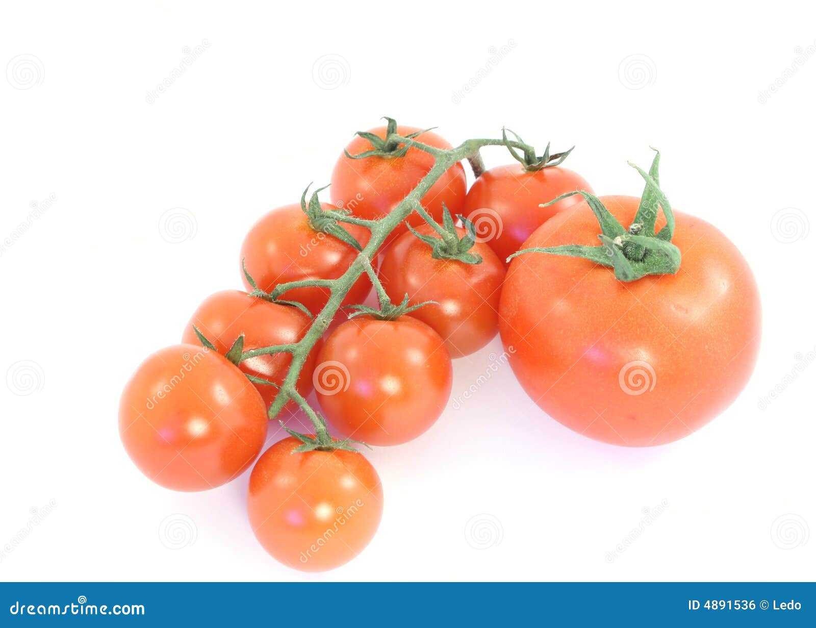 Tomato stock photo. Image of vegetable, tomato, isolated - 4891536