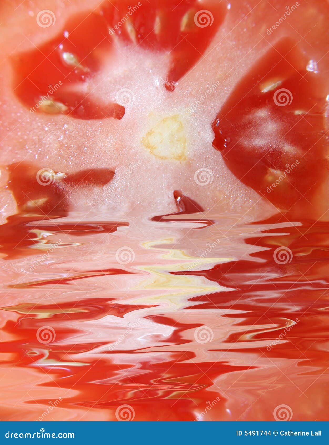 Tomato stock photo. Image of health, macro, ecoli, citrus - 5491744