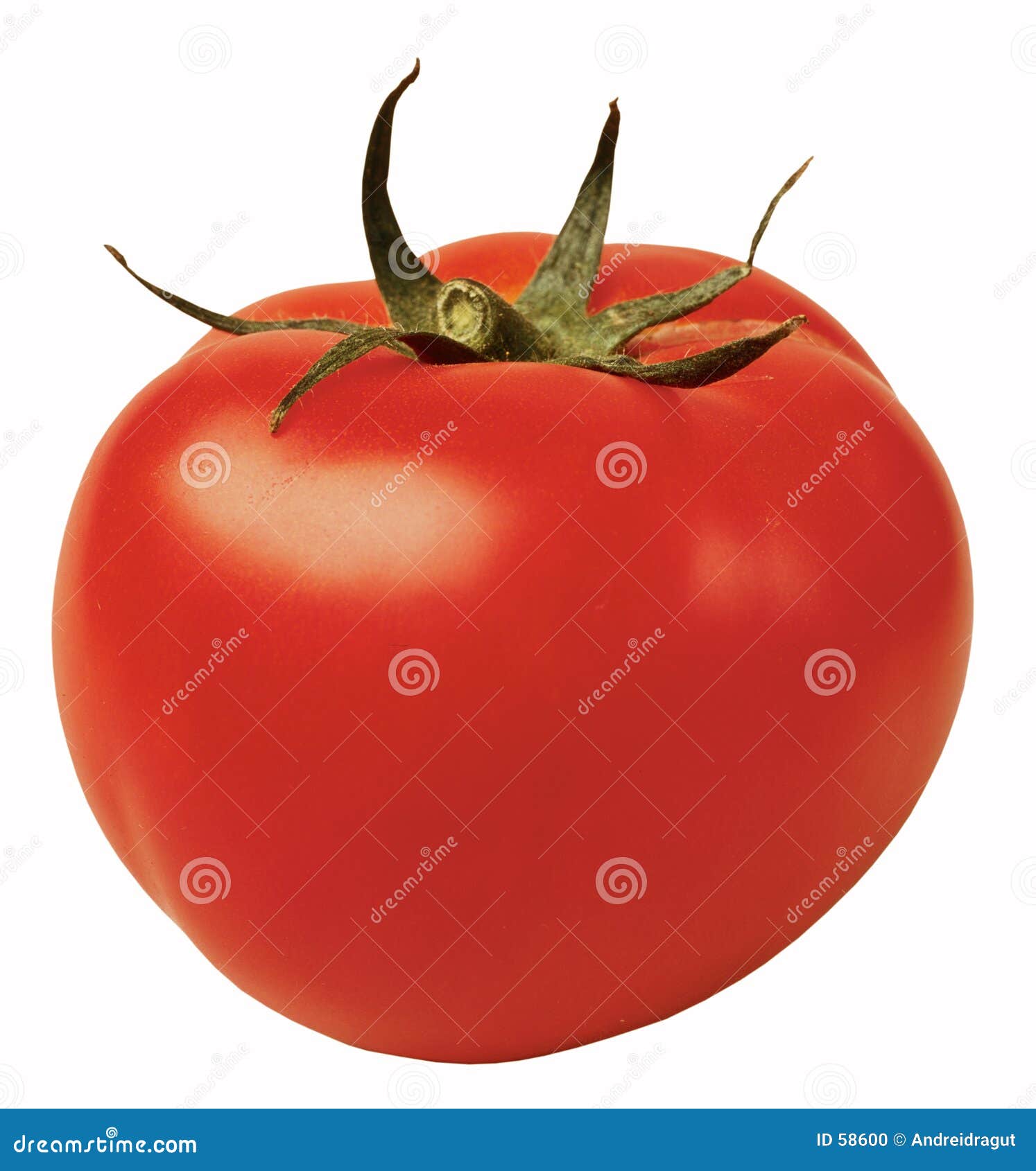Tomato stock photo. Image of isolated, fresh, ingredients - 58600