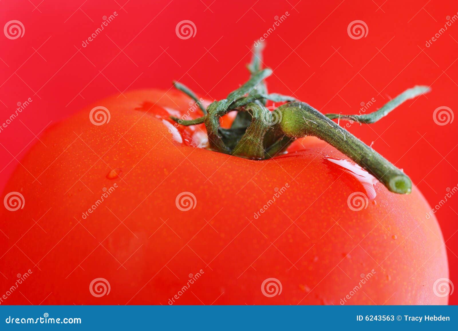 Tomato stock image. Image of copy, crop, close, shape - 6243563