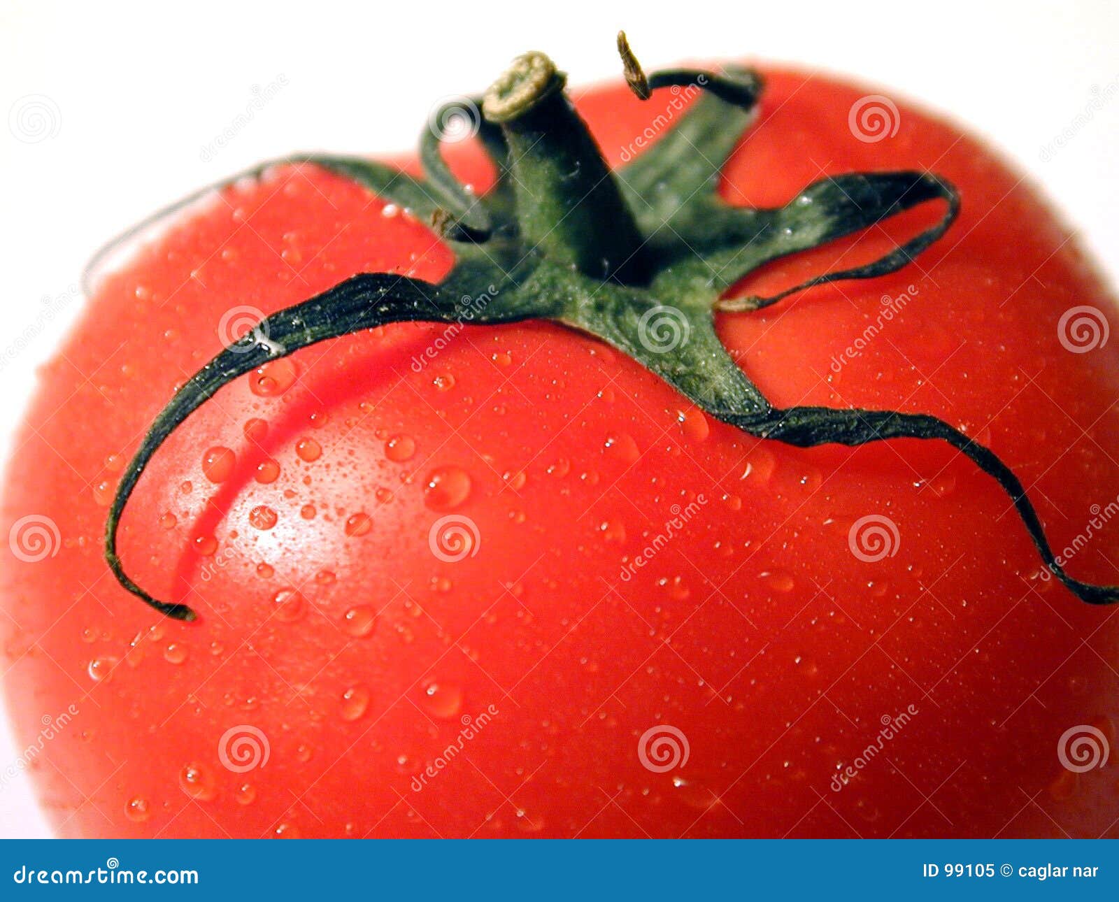 Tomato stock image. Image of beverages, vegetebles, domates - 99105