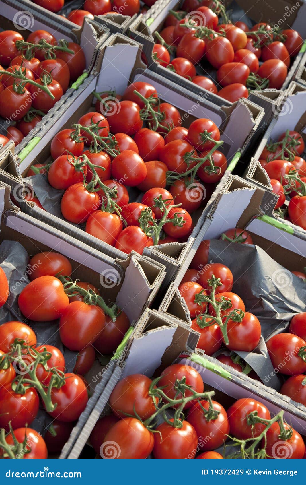 Tomato Background stock image. Image of diagonal, nutrition - 19372429