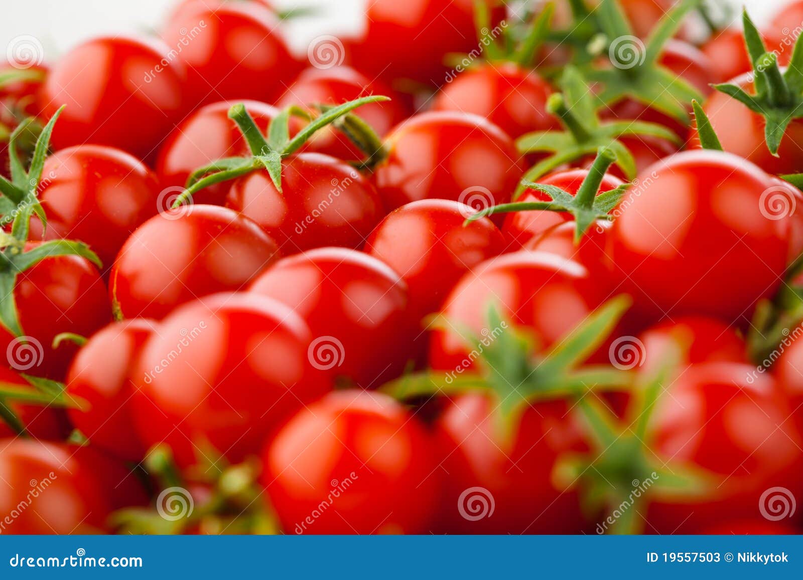 Tomato background stock image. Image of dish, riped, macro - 19557503