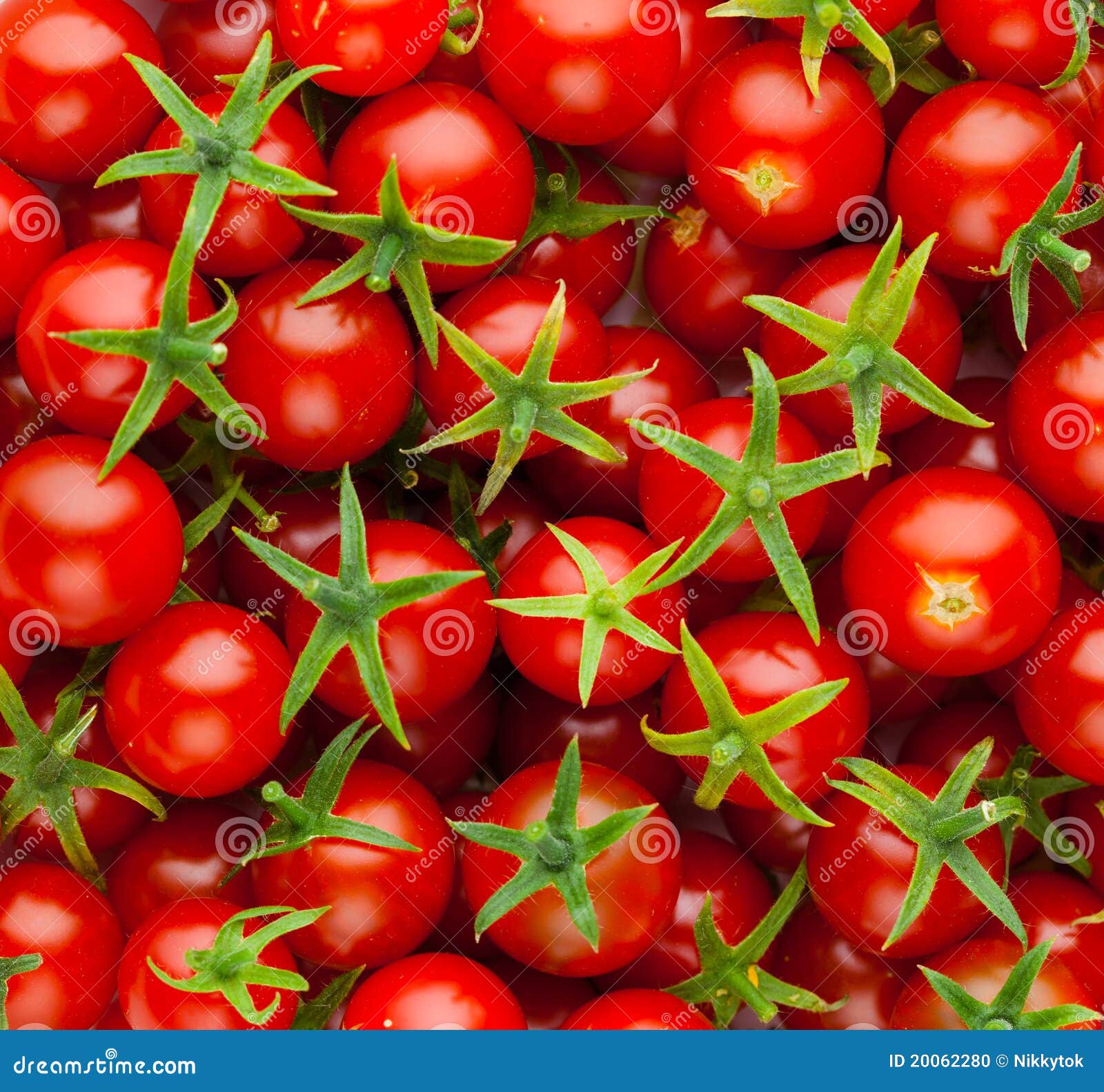Tomato background stock photo. Image of background, closeup - 20062280