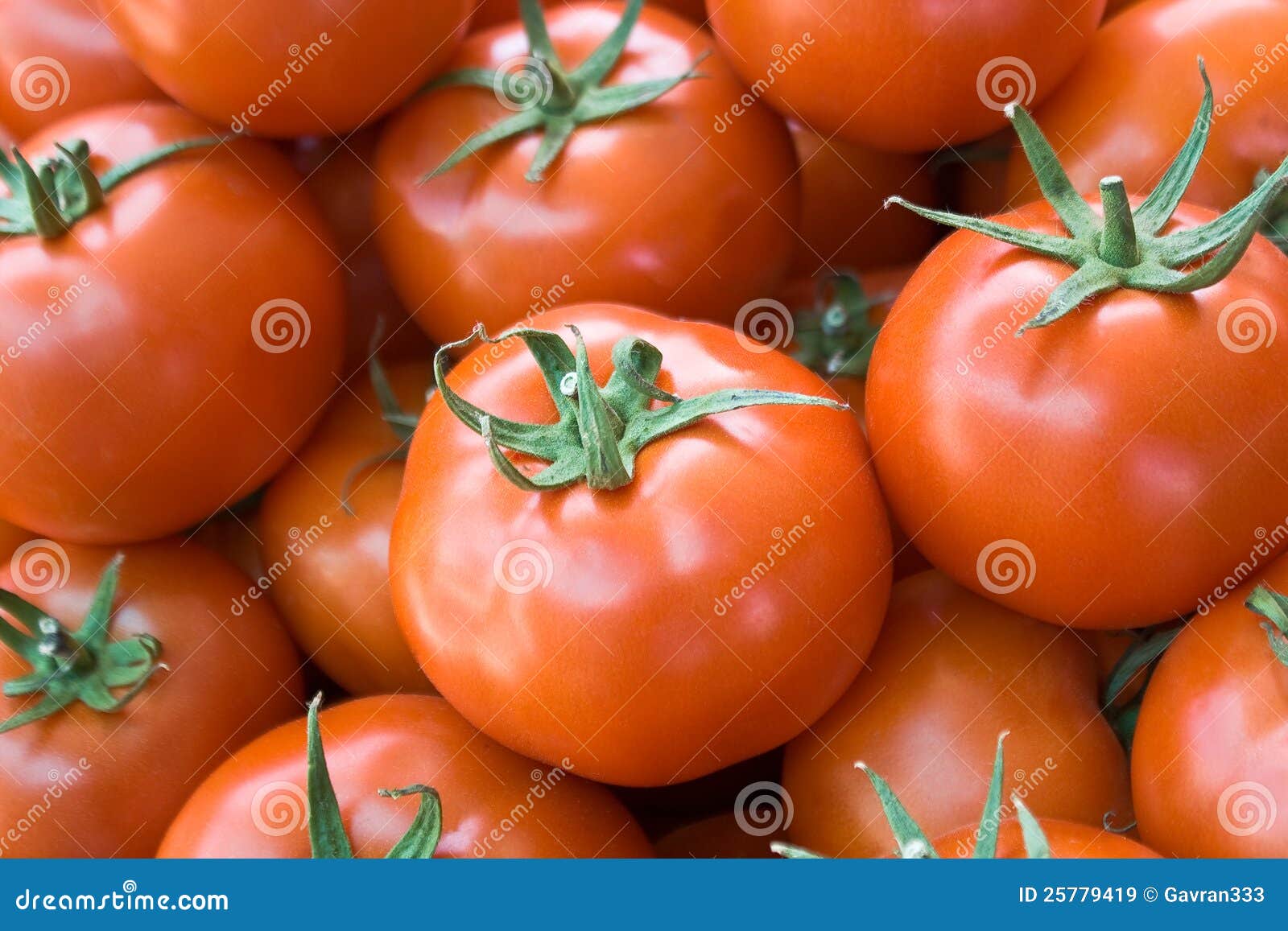 Tomato background stock image. Image of wall, text, print - 25779419