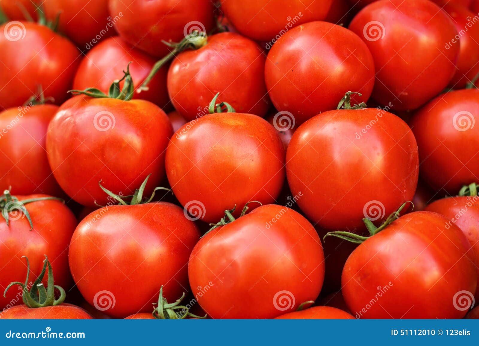 Tomato Backgrounds stock photo. Image of vegetable, tomatoes - 51112010