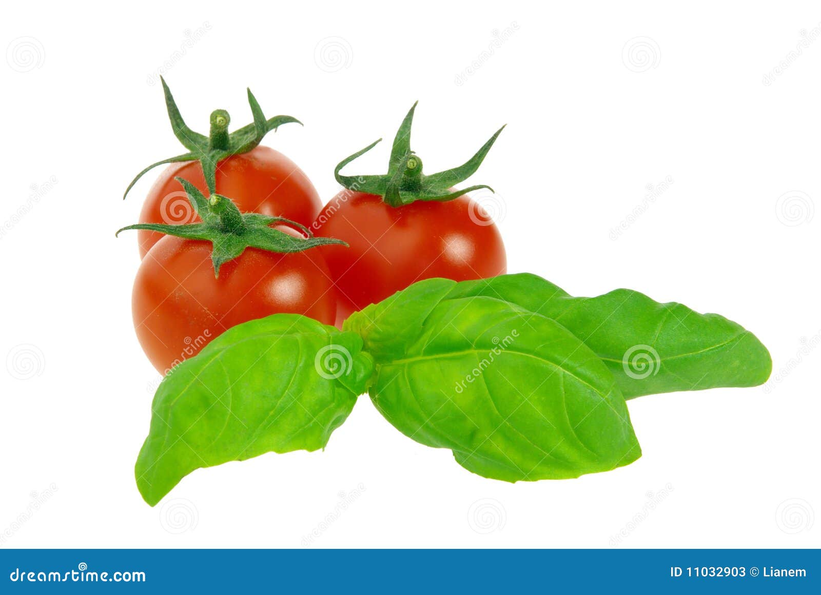 Tomato and basil stock image. Image of ingredient, fresh - 11032903