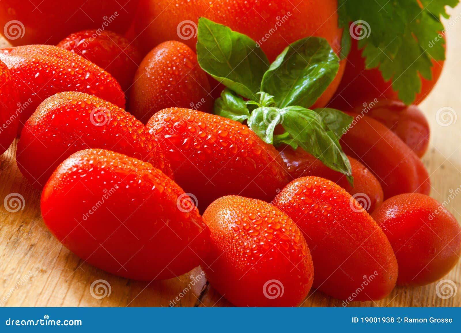 Tomato and basil stock photo. Image of organic, herbs - 19001938