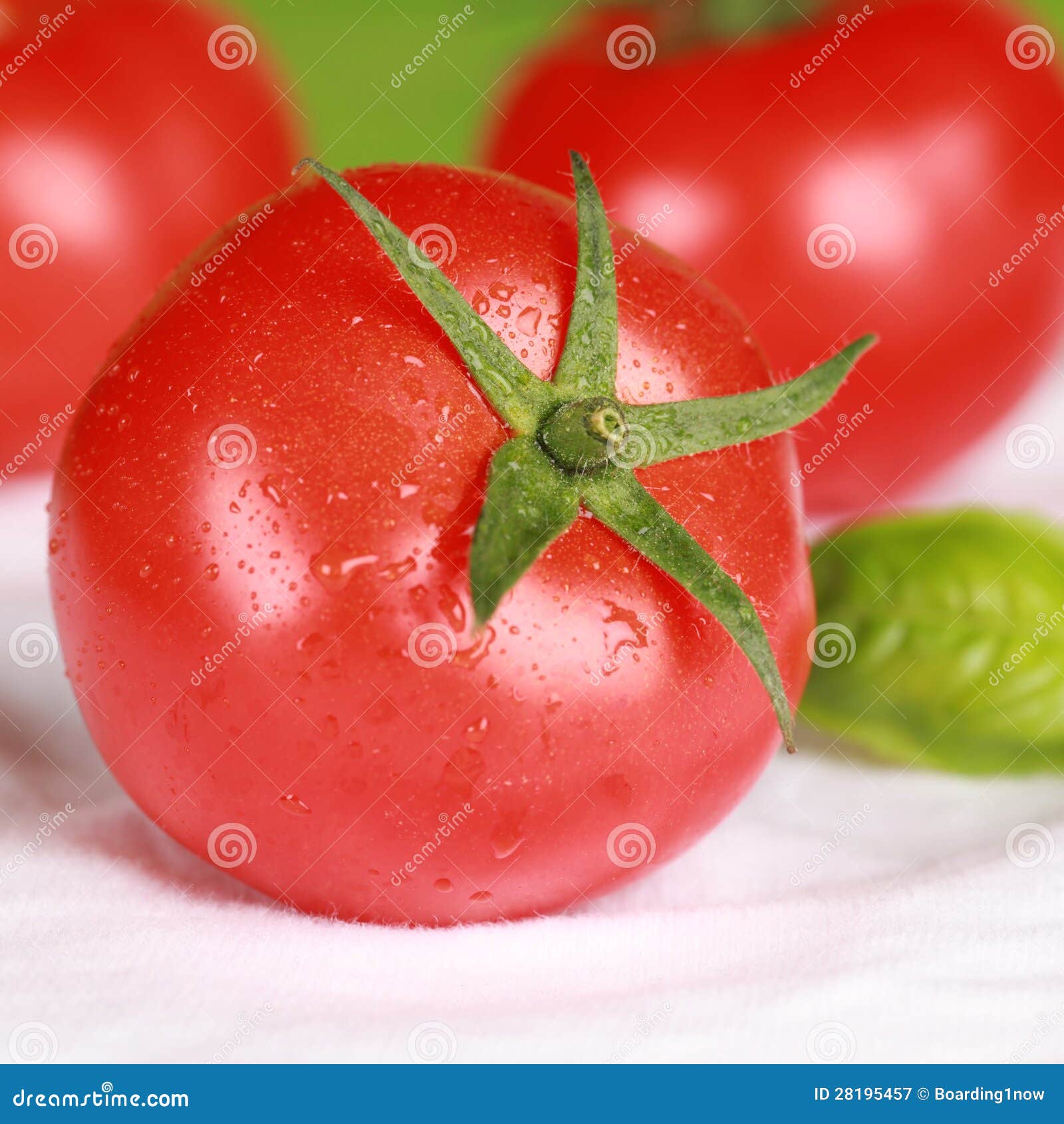Tomato with basil stock image. Image of vegetables, waterdrops - 28195457