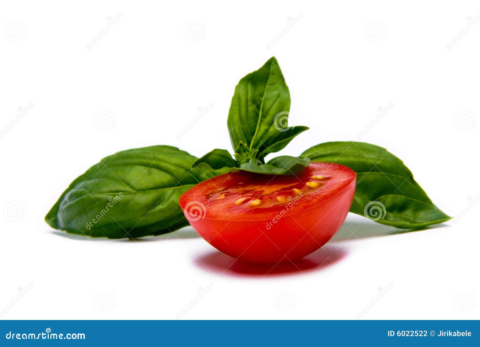 Tomato & Basil stock photo. Image of culinary, basil - 6022522