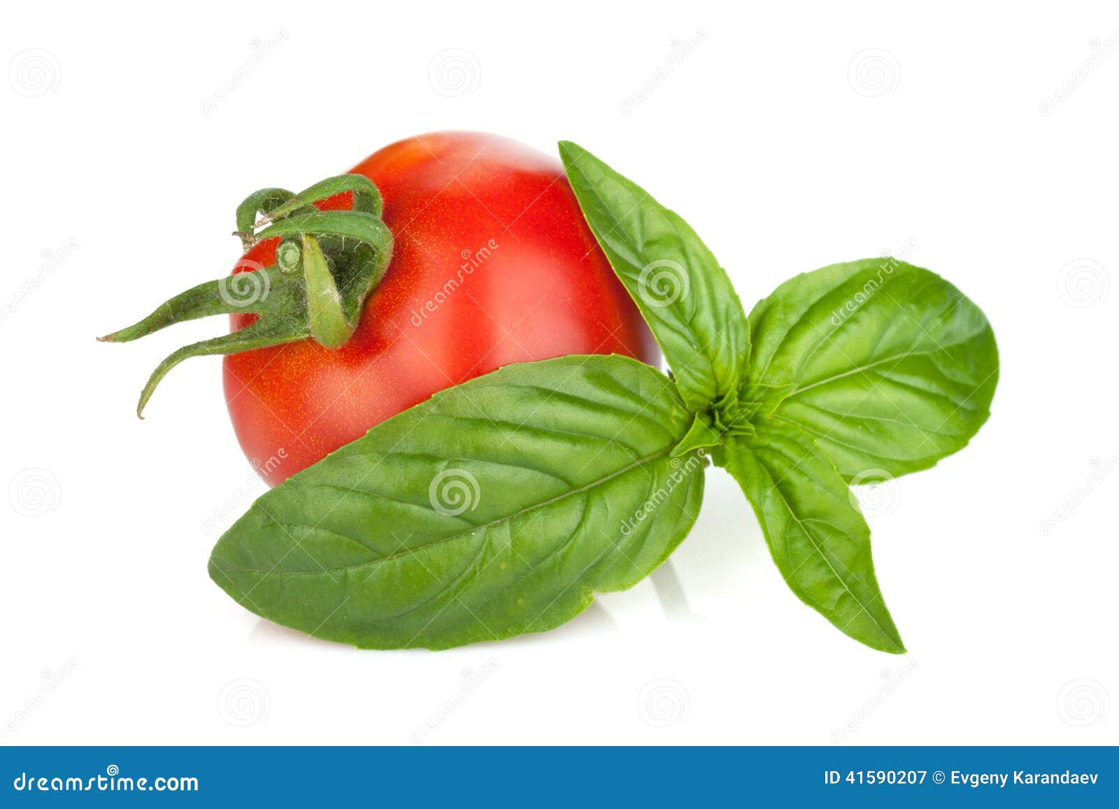 Tomato and basil stock image. Image of nutrition, salad - 41590207