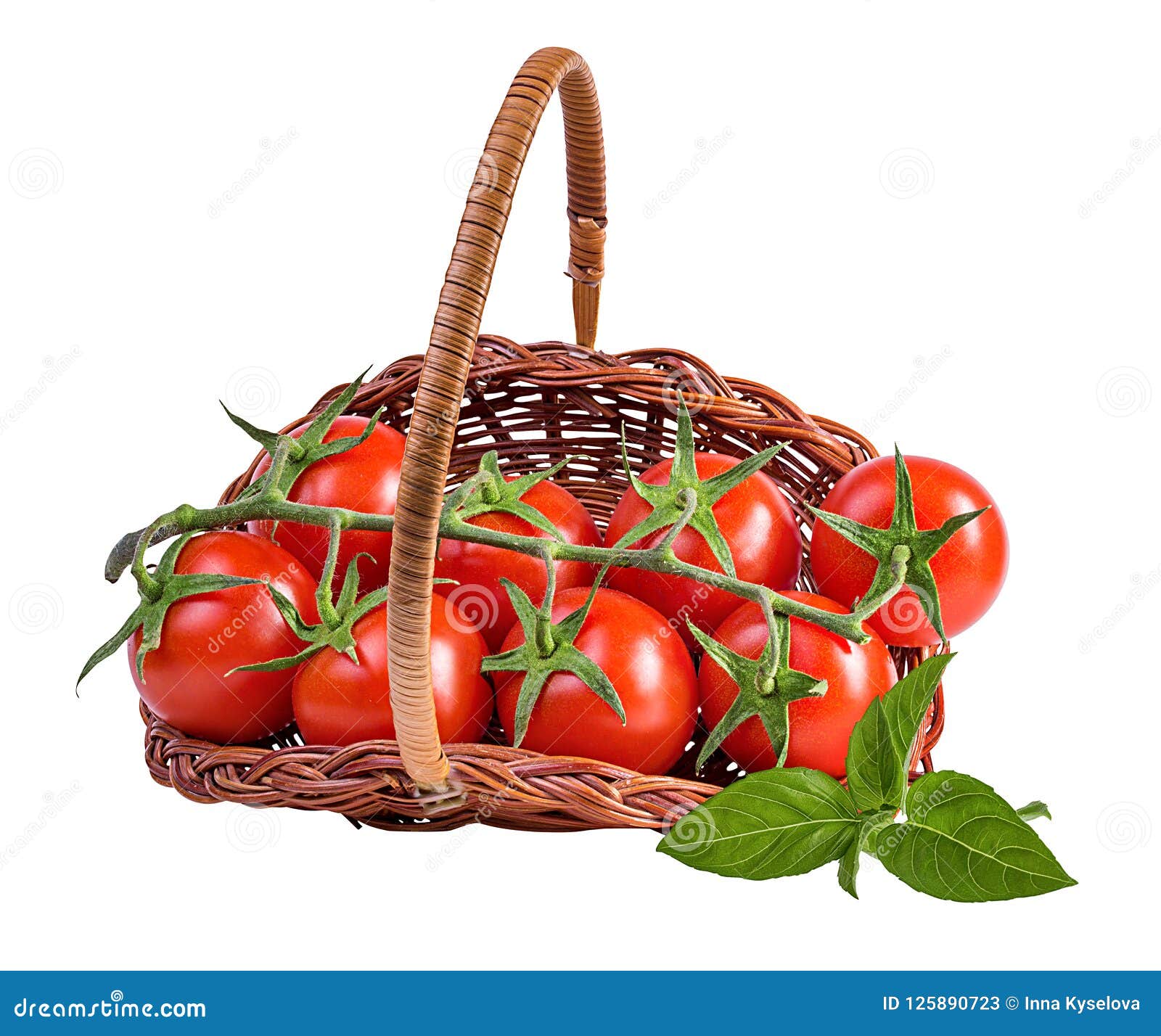 Tomato and Basil Isolated on White Stock Image - Image of ingredient ...