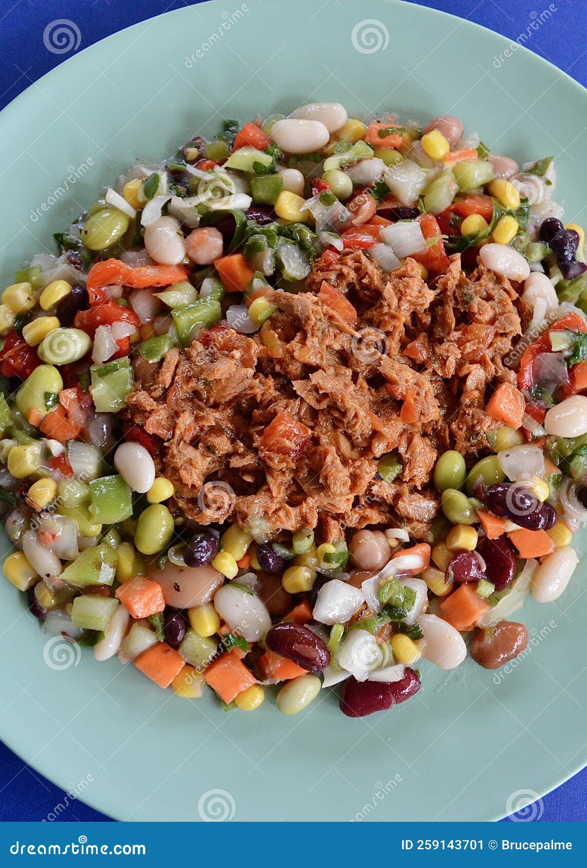 Tomato and Basil Tuna with Mixed Beans Stock Image - Image of plate ...